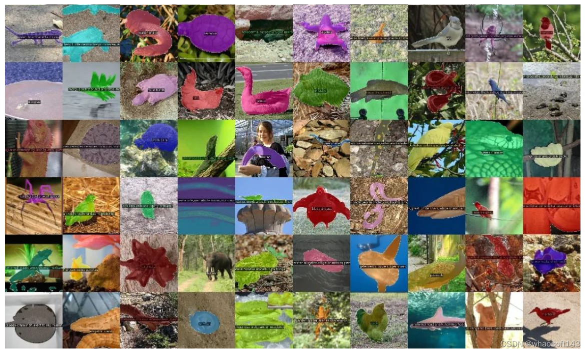 Side Adapter Network-CSDN博客