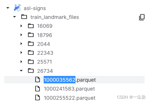 kaggle —— Isolatede Sigh Language Recognition_kaggle language里-CSDN博客