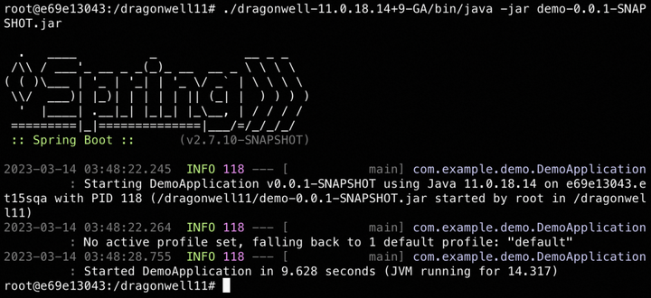 RISC-V 中开发 Java 是一种什么体验_riscv配置java-CSDN博客