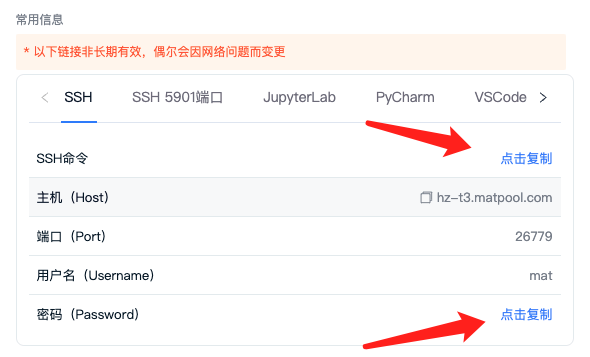 使用矩池云 Docker 虚拟机安装VNC、Conda、Python及CUDA_docker安装vnc-CSDN博客