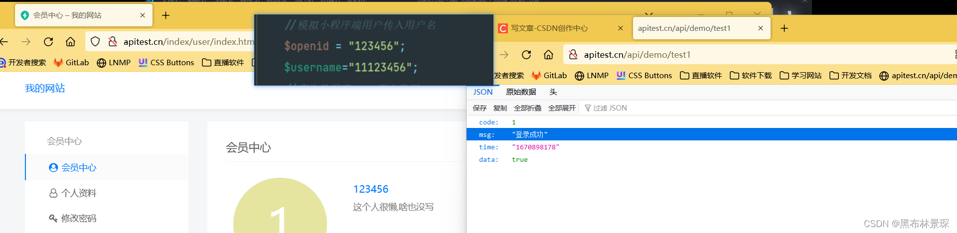 12月13日：跟着猫叔写代码，fastadmin中Api相关只是_fastadmin api-CSDN博客