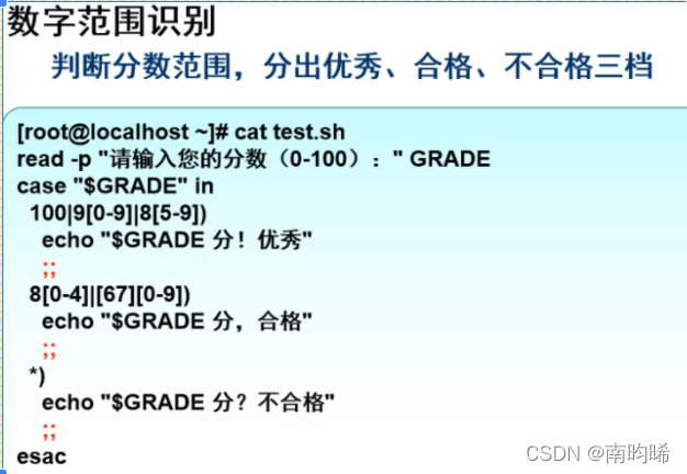 【Linux】（15）shell编程基础命令：echo、case、位置变量、while、read_shell while read 变量-CSDN博客