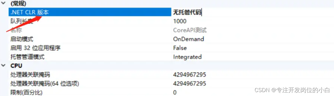 .net 6 Core 发布项目 并且部署IIS-CSDN博客