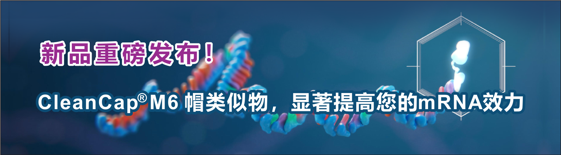 CleanCap®M6帽类似物，显著提高mRNA效力_cleancap加帽-CSDN博客
