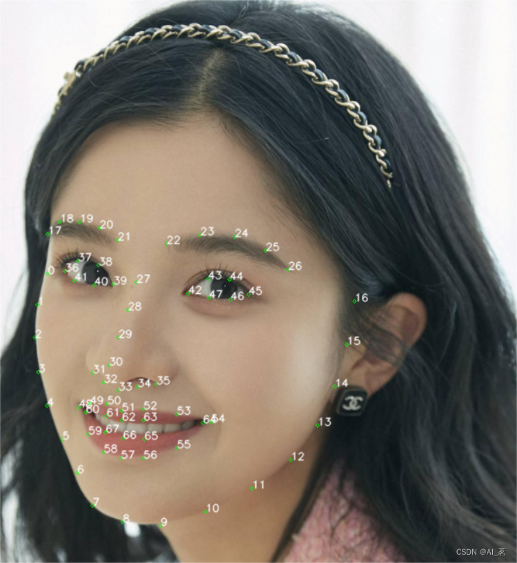 带你3步实现dlib--人脸关键点的绘制_dlib 人脸关键点-CSDN博客