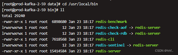 Redis7.2 单点安装到Alibaba Cloud Linux (Aliyun Linux) release 2.1903 LTS (Hunting Beagle)上步骤记录-CSDN博客