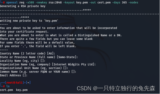 《红蓝攻防对抗实战》八.利用OpenSSL对反弹shell流量进行加密_linux反弹shell加密-CSDN博客