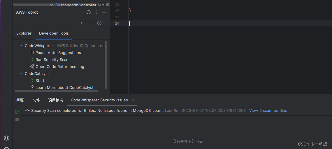 Amazon CodeWhisperer亚马逊云代码生成器idea体验使用_amazon codewhisperer支撑的idea-CSDN博客