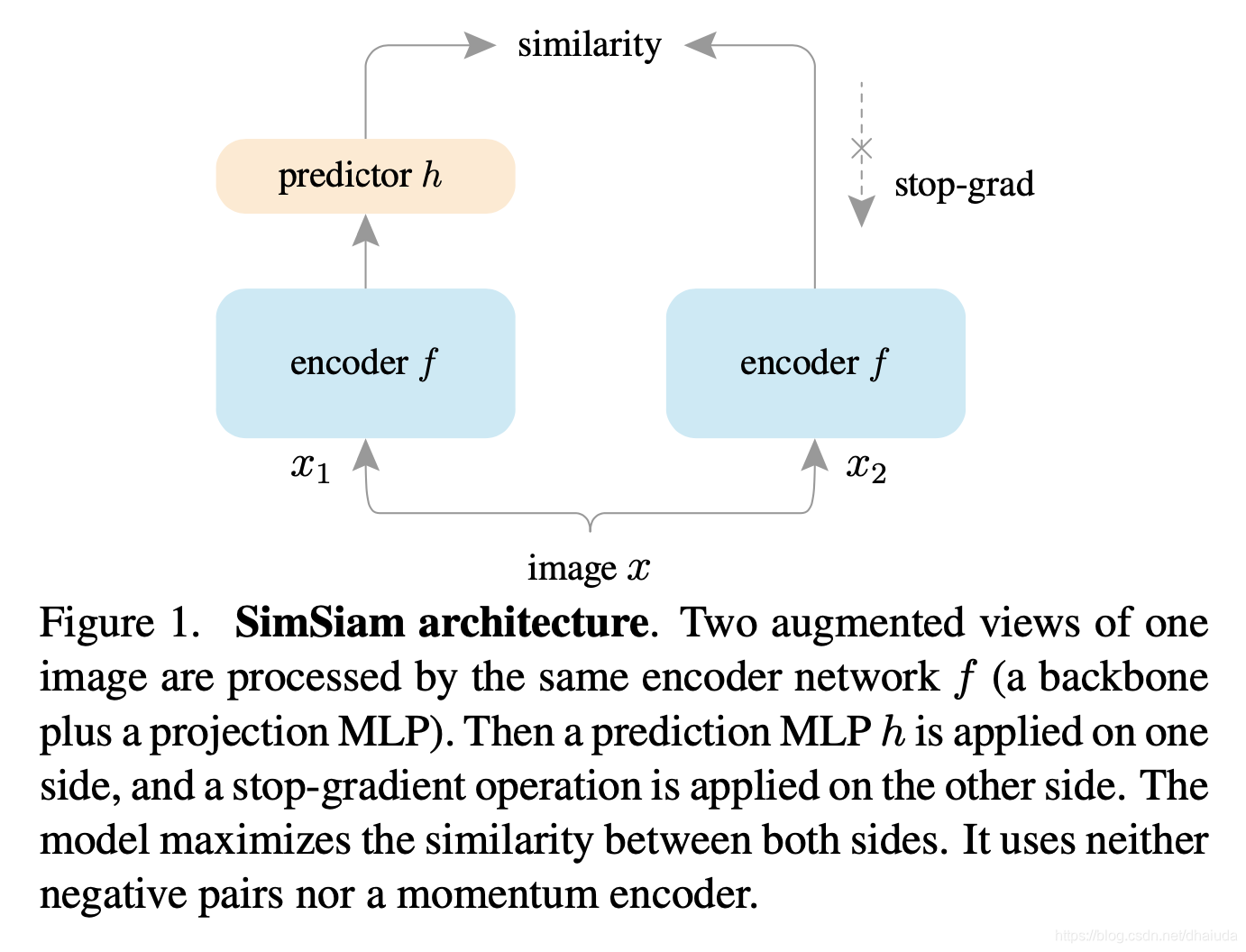深度学习(自监督:SimSiam)——Exploring Simple Siamese Representation Learning-CSDN博客