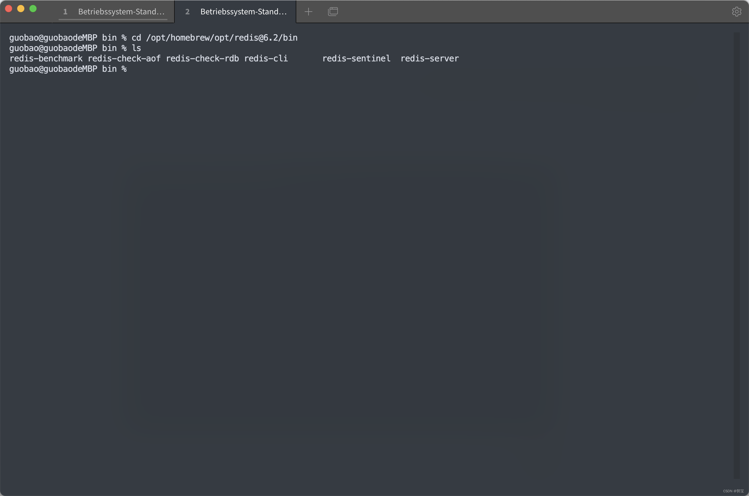 mac 系统通过brew 安装 redis 6.2版本_brew 安装redis 6.2-CSDN博客