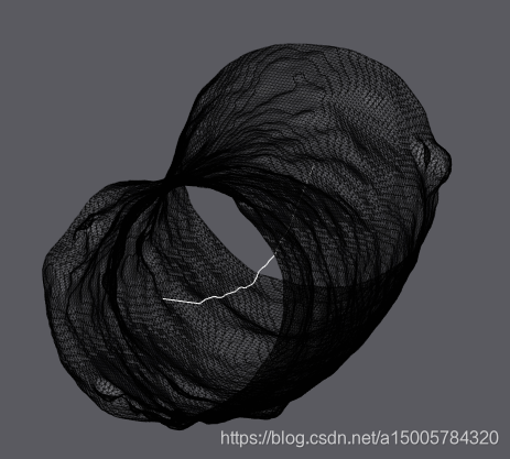 Study-VTK：计算图形中心线（利用vmtk）_vtk如何获取图像显示的中心点-CSDN博客