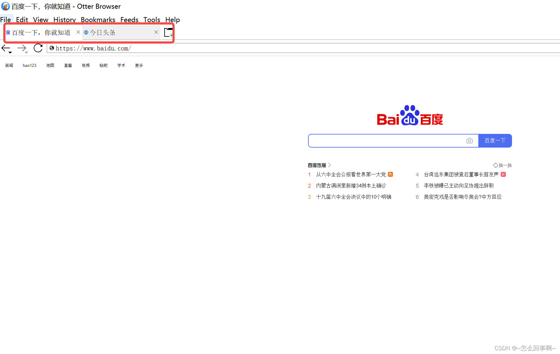 otter brower 多标签浏览器分析_otter browser-CSDN博客