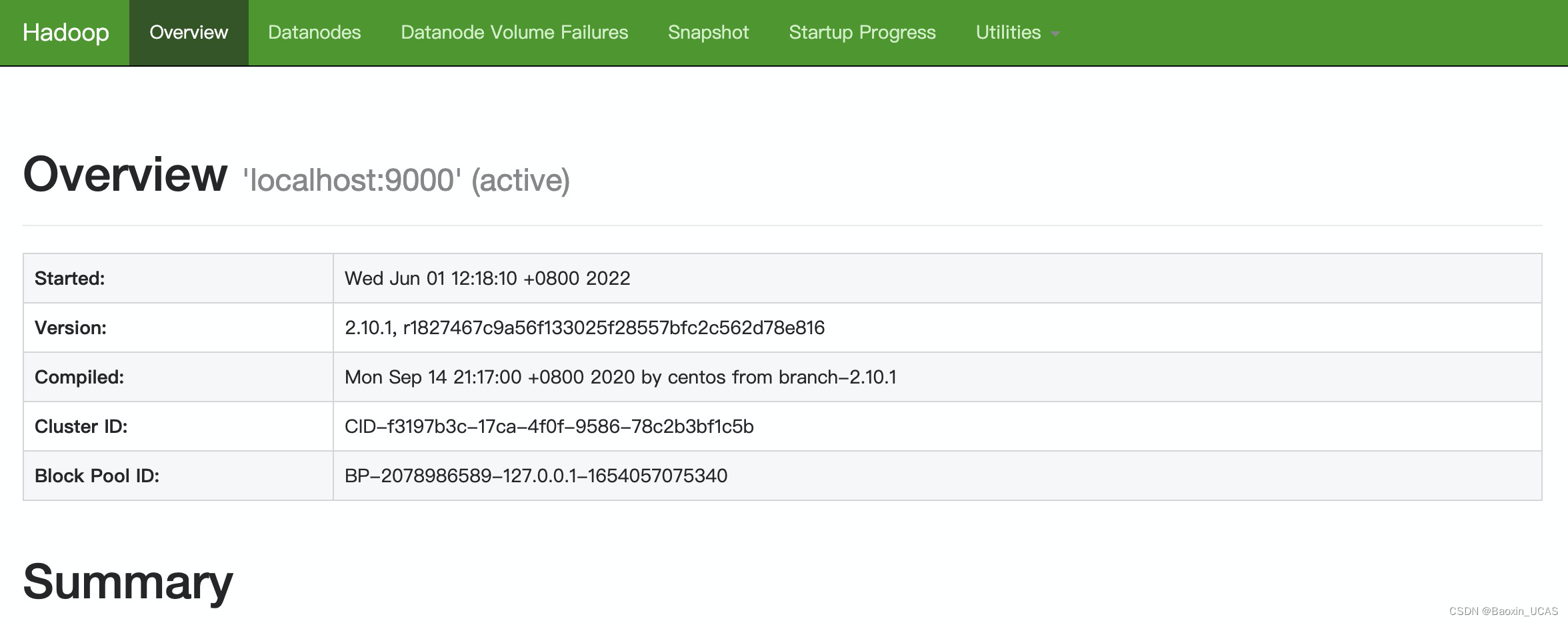 大数据平台架构实战（一）hadoop搭建_hadoop大数据平台构建与应用-CSDN博客