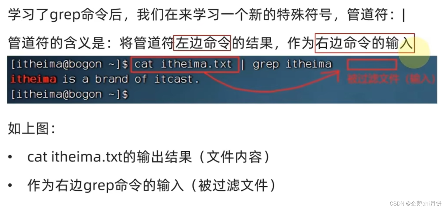 Linux命令进一步学习：which，find，grep，管道符，echo，tail，重定向符，Vim编辑器详细介绍，终端快捷键和小技巧_which echo-CSDN博客