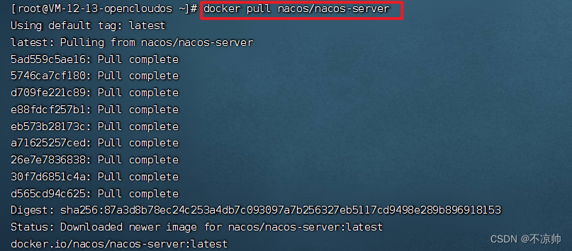 Nacos使用详解_nacos搭建使用-CSDN博客