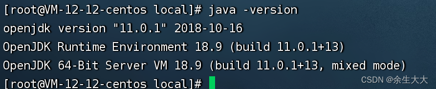linux在线安装JDK11_liunx 下载jdk11-CSDN博客