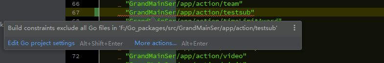 Go引用空包问题：no Go source file_go: no go source files-CSDN博客