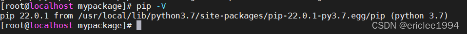 银河麒麟v10离线安装pip、virtualenv最后部署python程序 麒麟安装pip Csdn博客