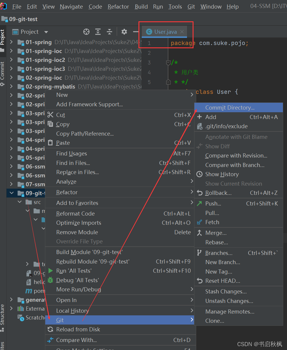 Git的安装、配置、使用02【idea对github支持使用】在idea中的git设置中这个选项勾选是什么意思load Branch Protection Ru Csdn博客