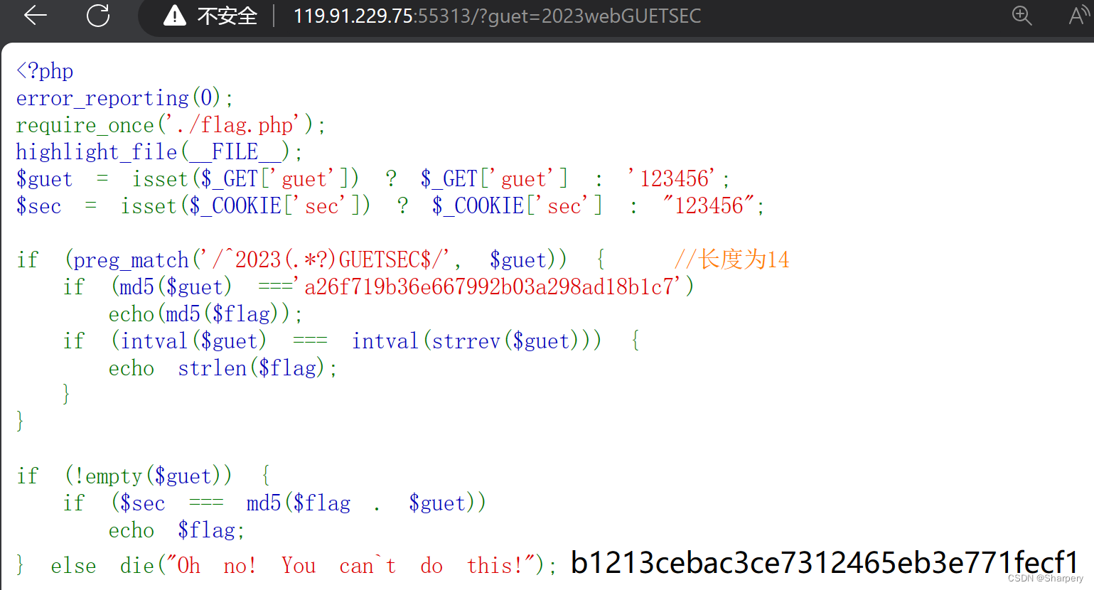 校赛ezzzz_web(intval特性利用)_web intval-CSDN博客