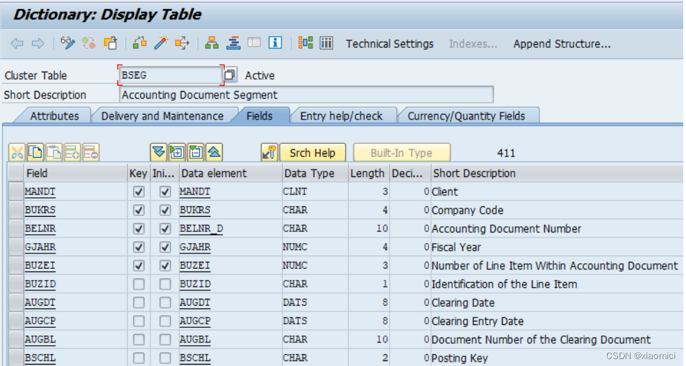 簇表BSEG和透明表BSID/BSAD-CSDN博客