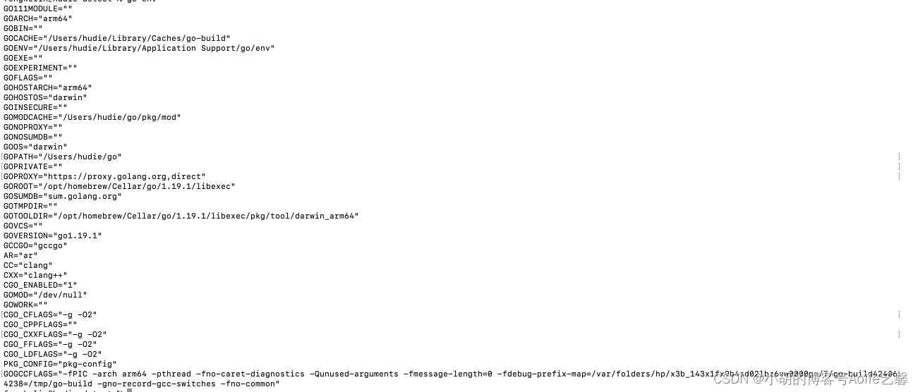 【GoLang】MAC安装Go语言环境_mac 重新安装go-CSDN博客