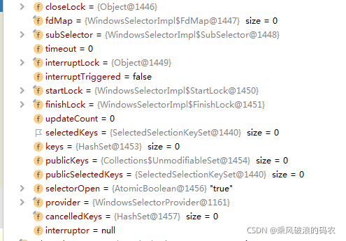 NioEventLoop加载流程分析_instrumented a special java.util.set into: sun.nio-CSDN博客