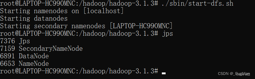 Day2——Hadoop伪分布式安装_hadoop单机伪分布式 hdfs-site.xml配置-CSDN博客