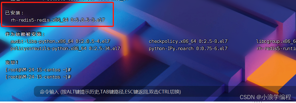 【redis系列】在centos7上安装redis5 0保姆级教程！ Centos7安装redis5 Csdn博客