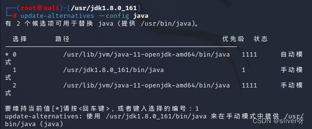 1、SySeVR环境配置（上）_sysevr 复现代码-CSDN博客