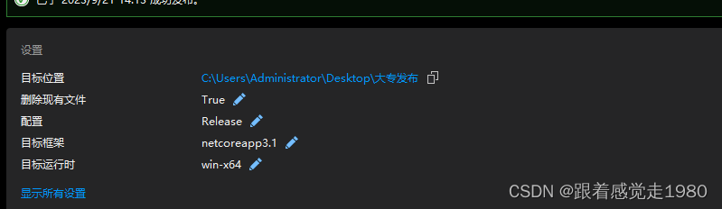 .netcore3.1部署到IIS_iis部署netcore3.1-CSDN博客