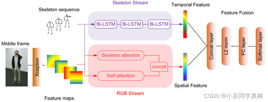 【论文阅读笔记】（2019 IROS）Action Recognition Based on 3D Skeleton and RGB Frame Fusion_skeleton ...