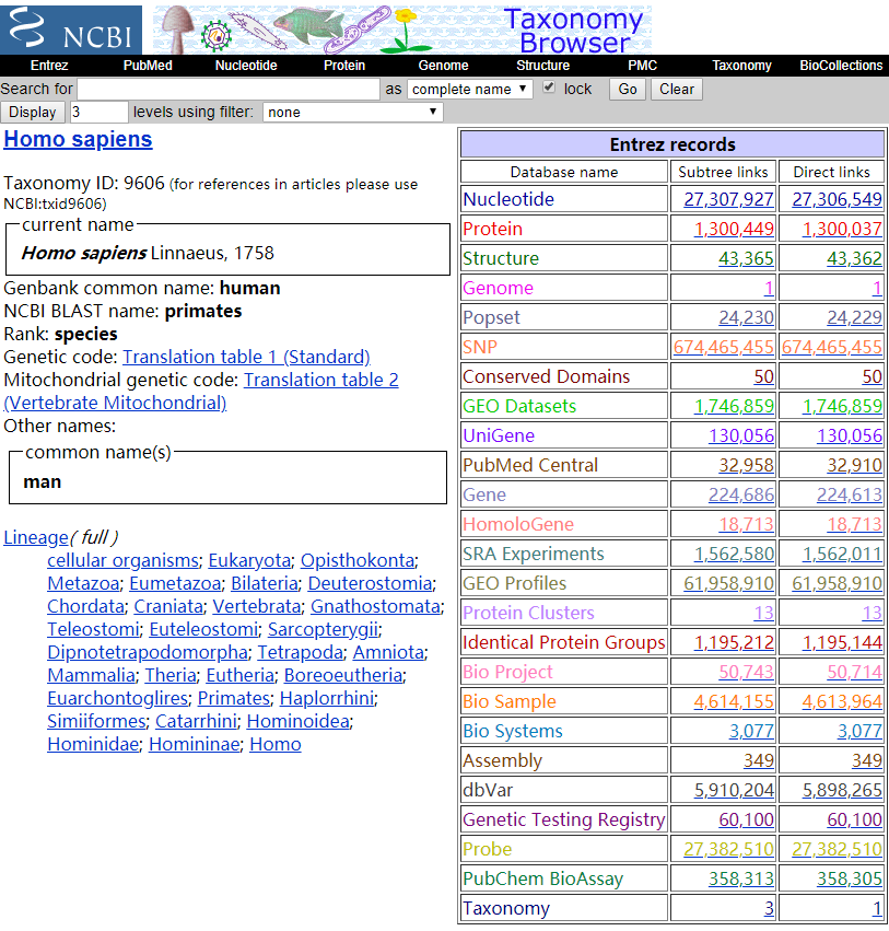 NCBI生物分类数据库（Taxonomy）_ncbi taxonomy-CSDN博客