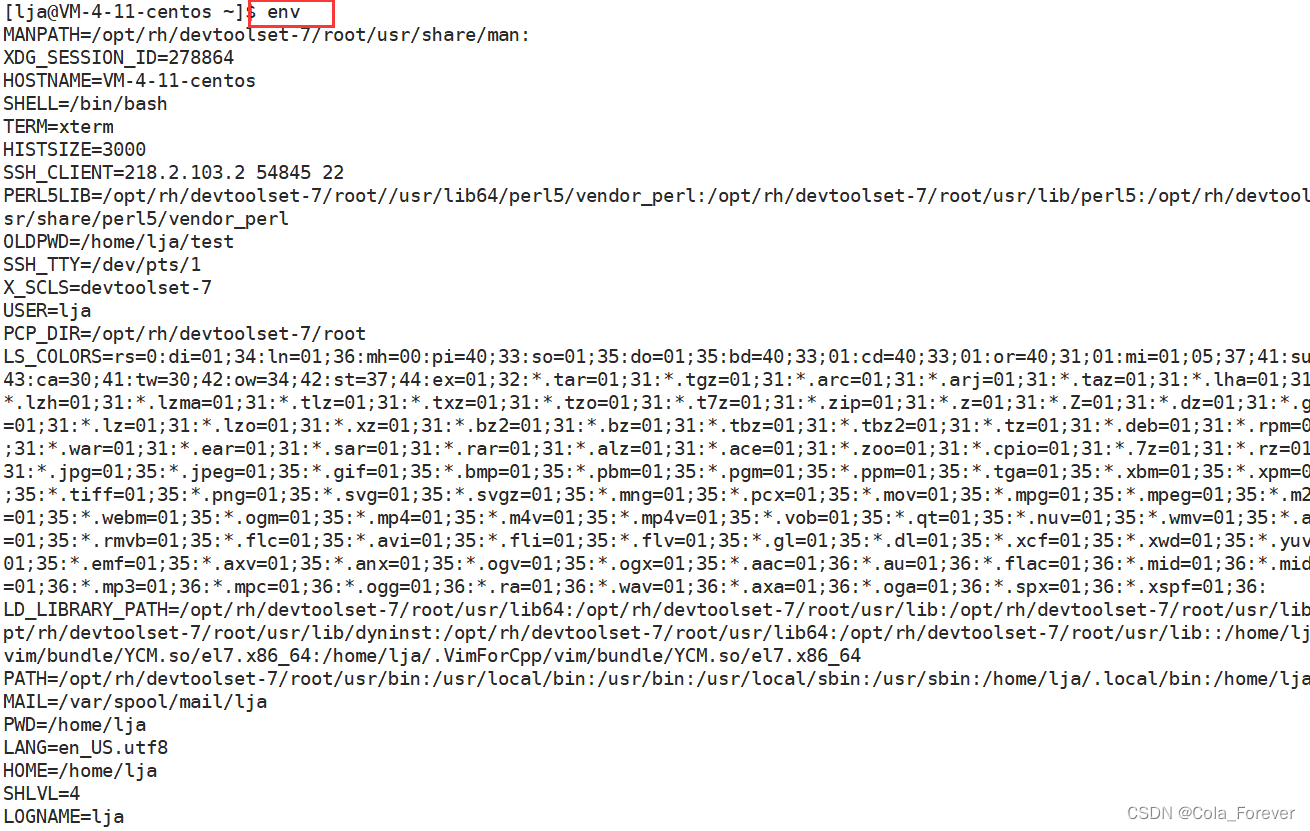Linux学习之：环境变量_forever linux 环境变量-CSDN博客