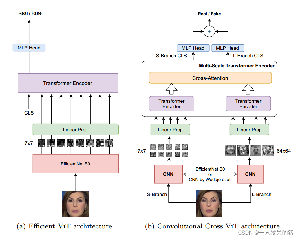 论文阅读《Combining EfficientNet and Vision Transformersfor Video Deepfake ...