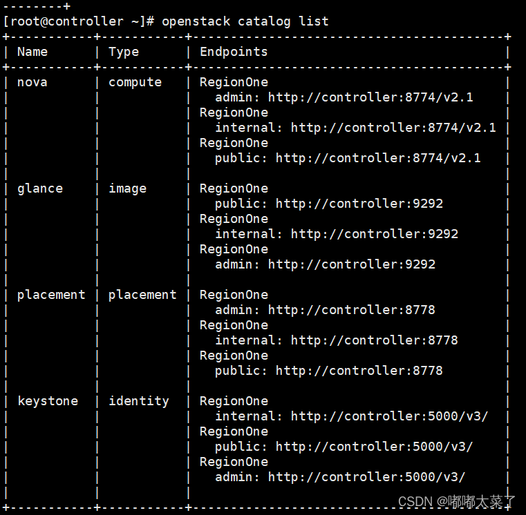 【Openstack Train安装】九、Nova安装-CSDN博客