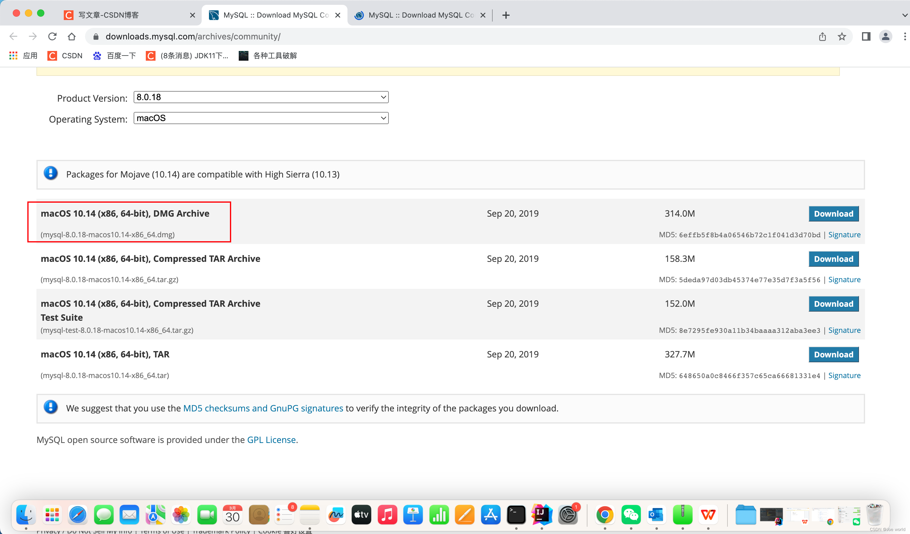 mac安装配置mysql 详细教程（简单）_mac mysql8配置环境变量-CSDN博客