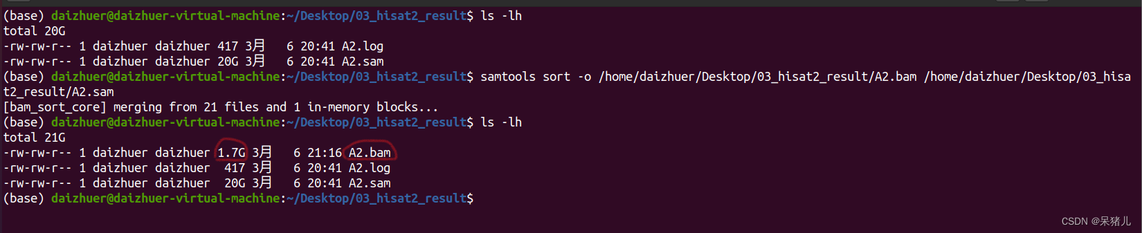 零基础入门转录组上游分析——第四章（序列比对）_转录组bam文件-CSDN博客