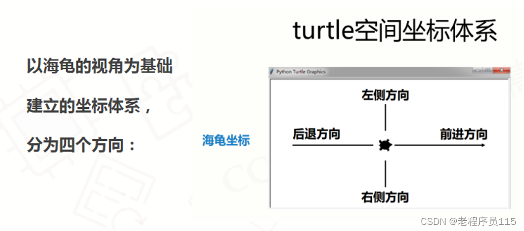 青少年python系列 19.turtle库_青少年python编程系列19-CSDN博客