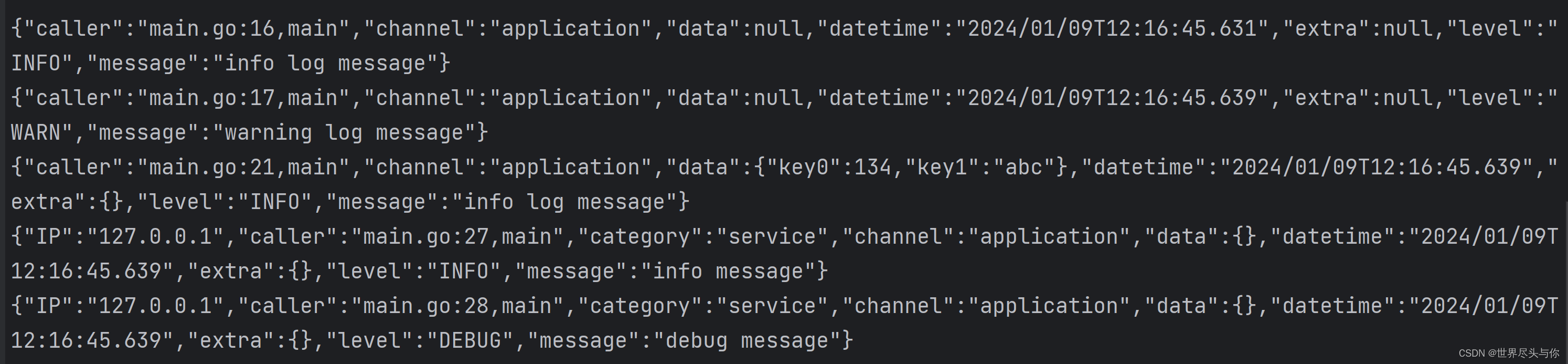 Go语言日志美化库，slog使用指南_go slog-CSDN博客