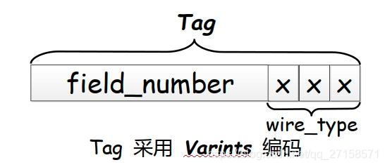 Ubuntu下使用Protocol Buffer(简写：protobuf) （1.2编码）_ubuntu procotol buffer java代码-CSDN博客