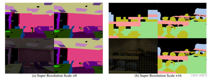 Semantic-NeRF: Semantic Neural Radiance Fields（Semantic-NeRF：语义神经辐射场）-CSDN博客