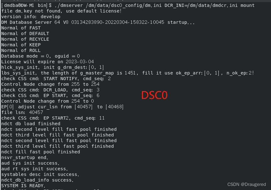 DMDSC数据守护：2节点DSC+实时与异步备库_dmdsc异步备机-CSDN博客