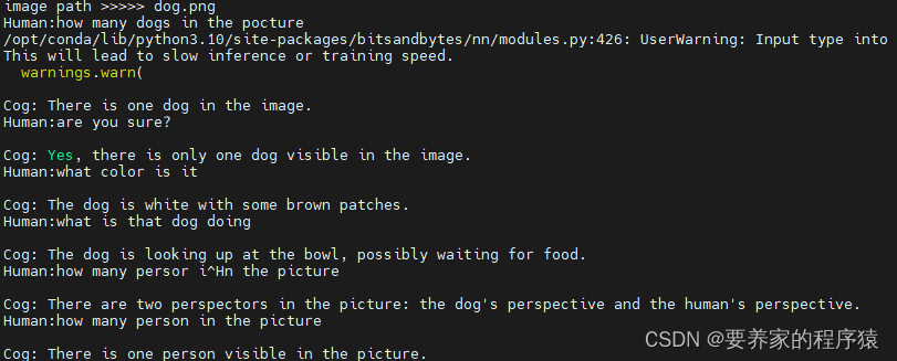 CogVLM/CogAgent环境搭建&推理测试-CSDN博客