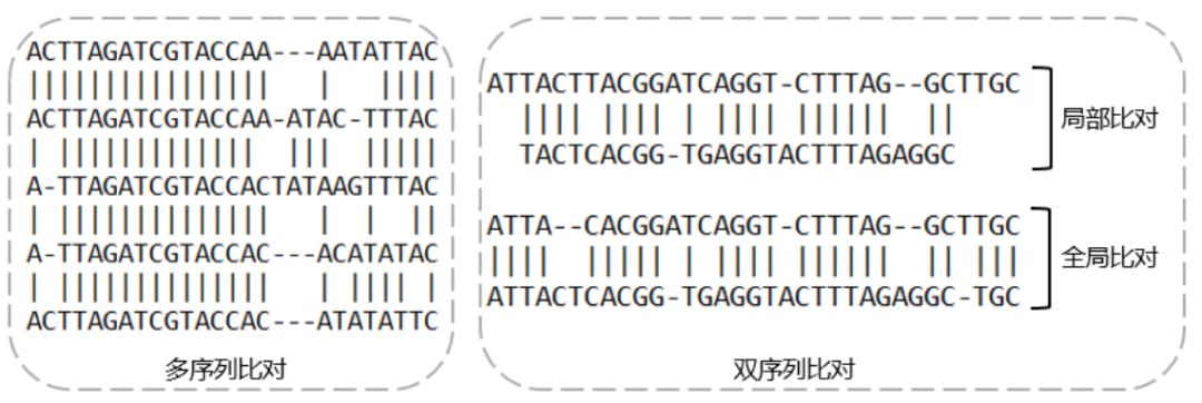 Edlib：方便快速的长序列比对软件包_#include "edlib.h-CSDN博客