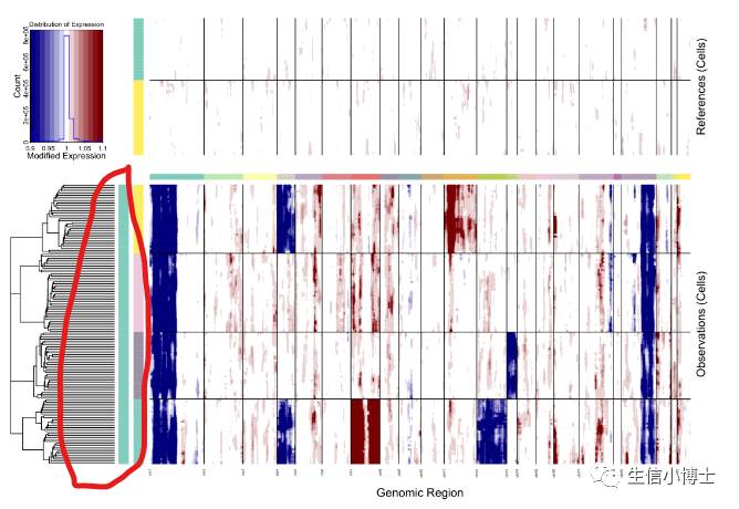 infercnv 三回首：深入理解infercnv为何能发nature-CSDN博客