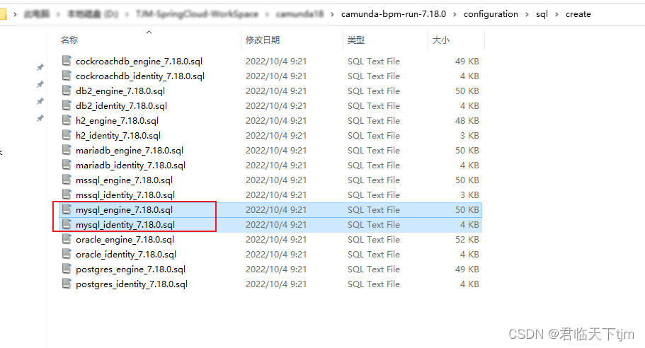 camunda-external-task-java外部任务项目启动失败，Error creating bean with name ‘externalTaskClient ...