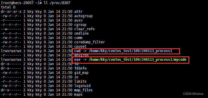 Linux------进程的初步了解_getpid头文件-CSDN博客
