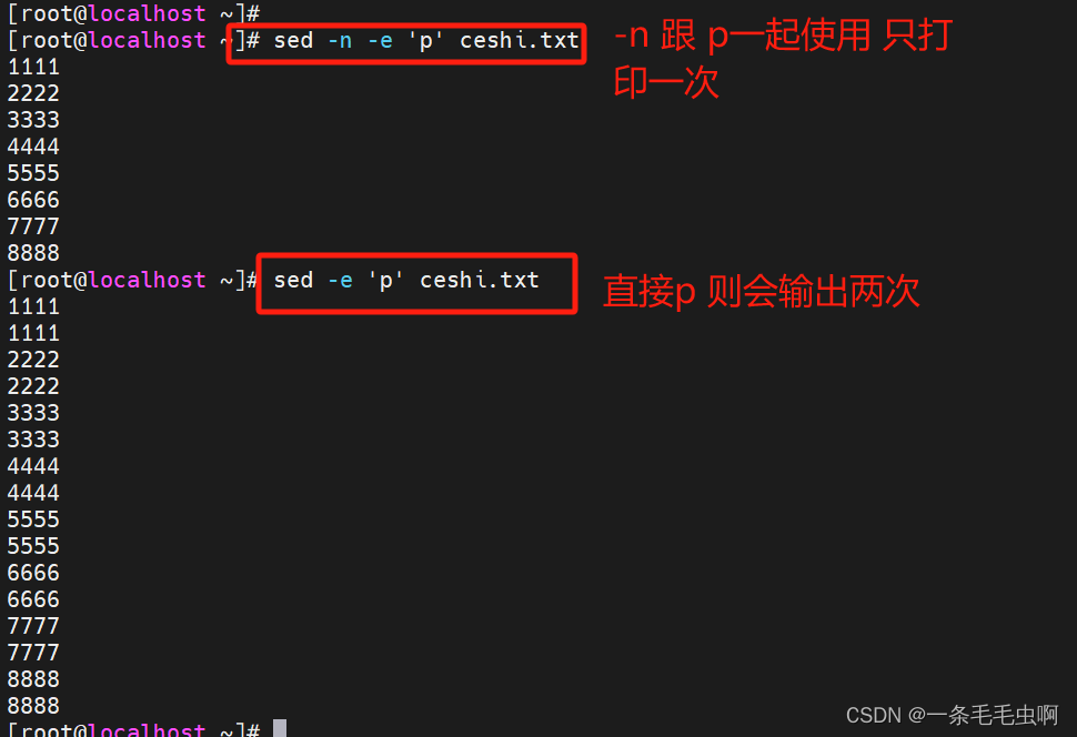 sed命令_sed 命令 csdn-CSDN博客